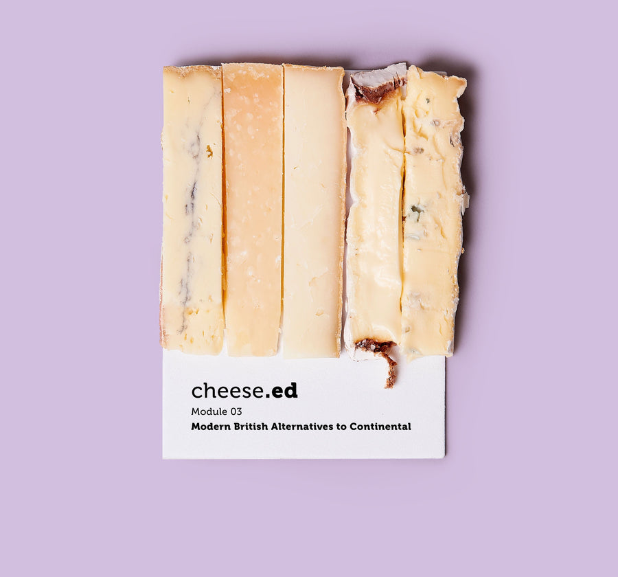 Cheese Delivery; Gifts, Hampers & Subscriptions | cheesegeek